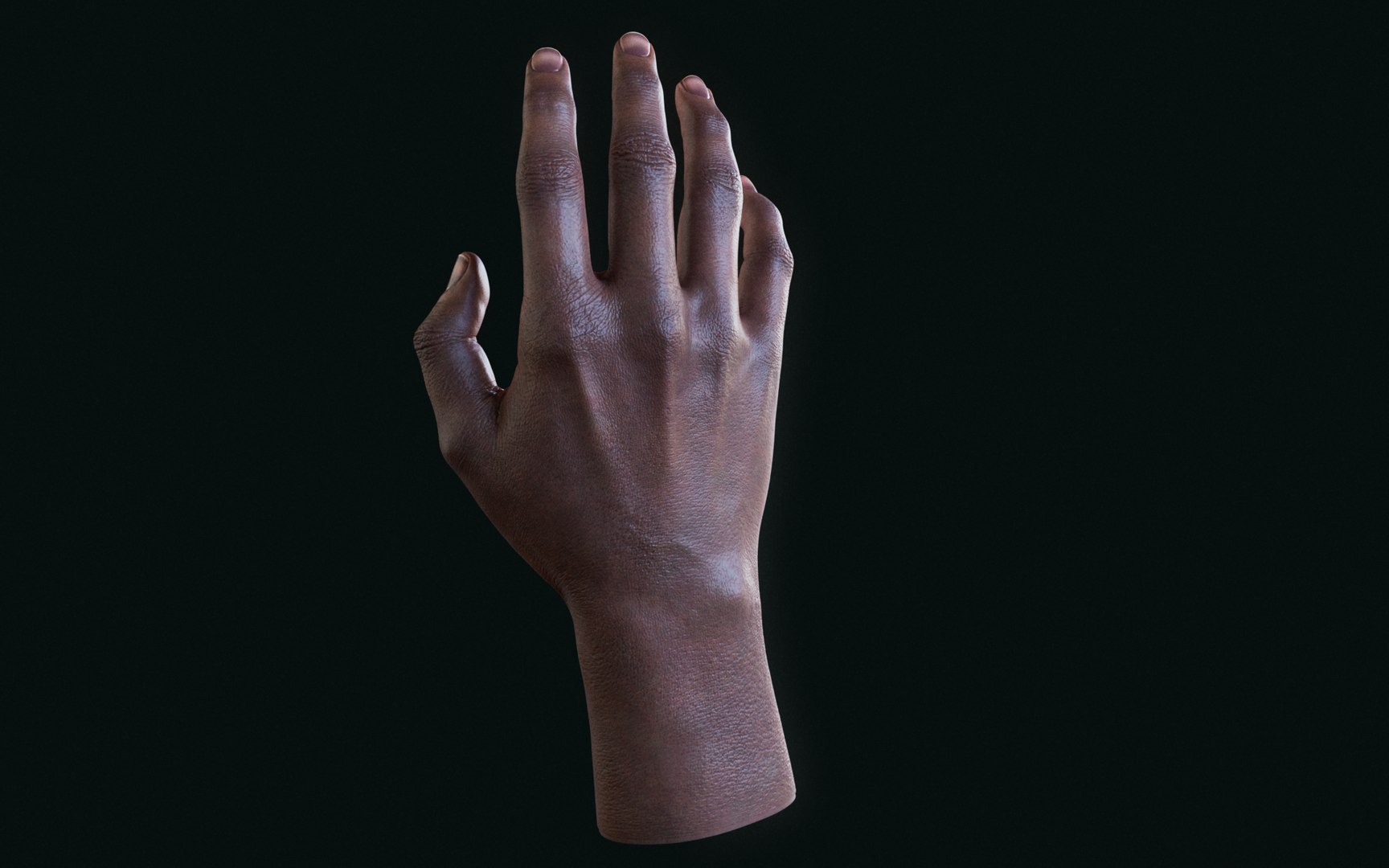 Realistic Human Hand - Rigged 3D Model - TurboSquid 2096513