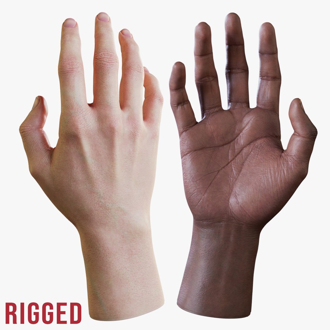 Realistic Human Hand - Rigged 3D Model - TurboSquid 2096513