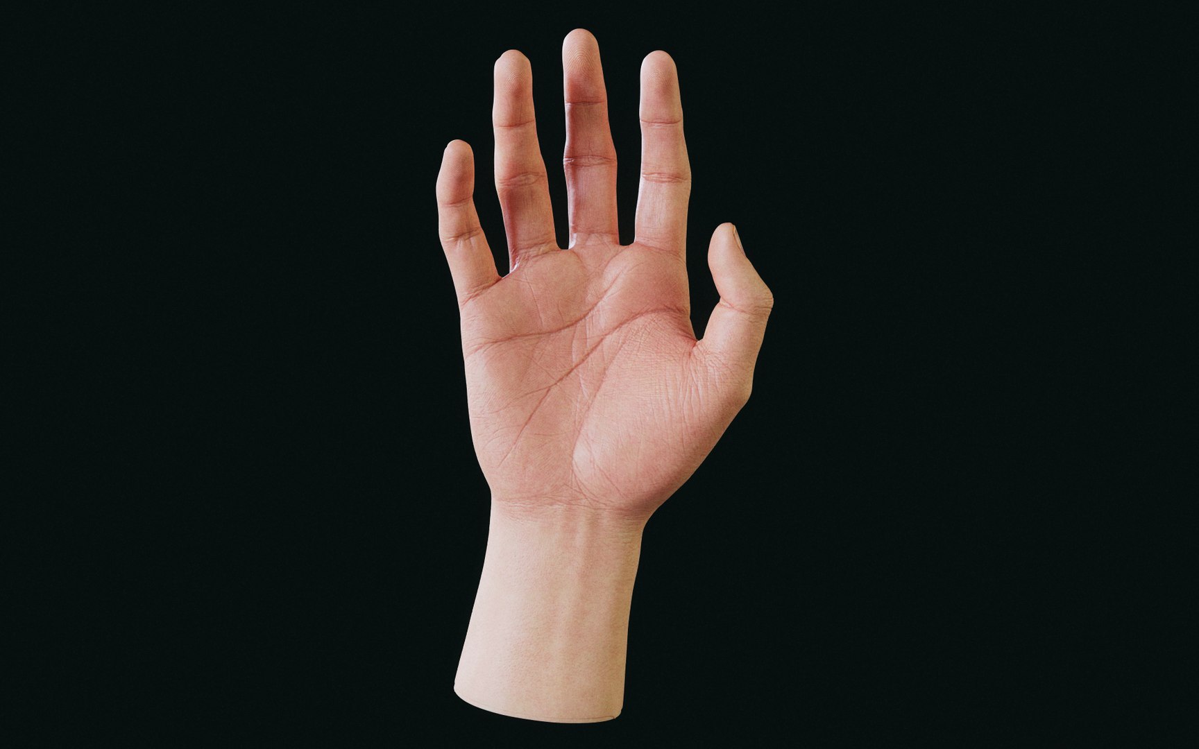 Realistic Human Hand - Rigged 3D Model - TurboSquid 2096513