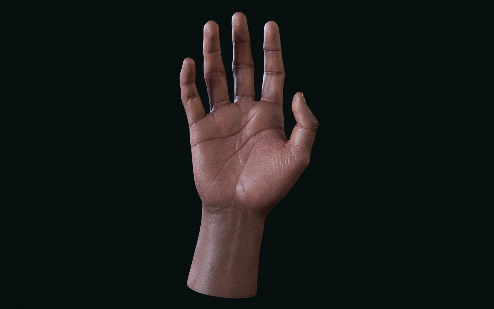 Realistic Human Hand - Rigged 3D Model - TurboSquid 2096513