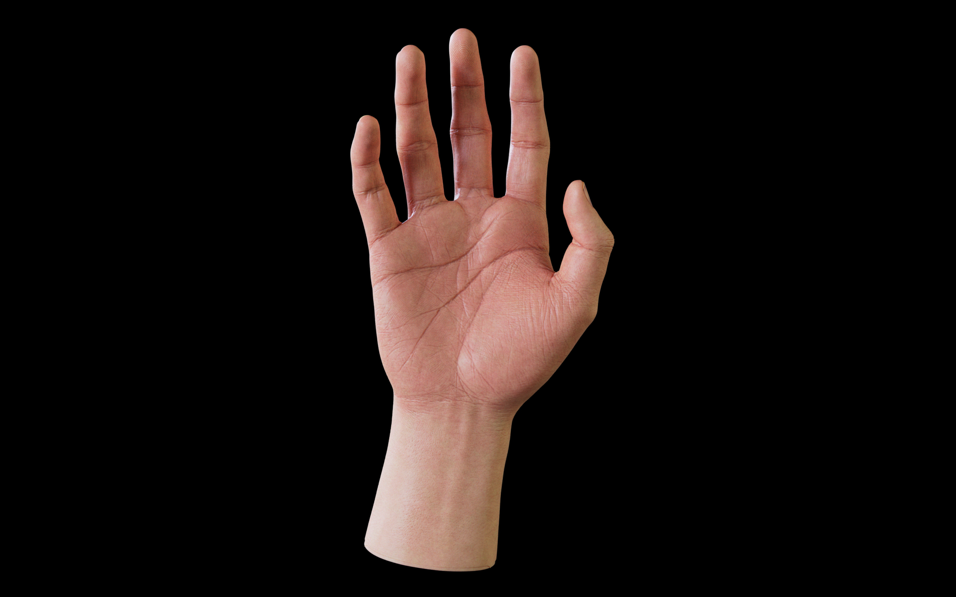 Realistic Human Hand - Rigged 3D 모델 - TurboSquid 2096513