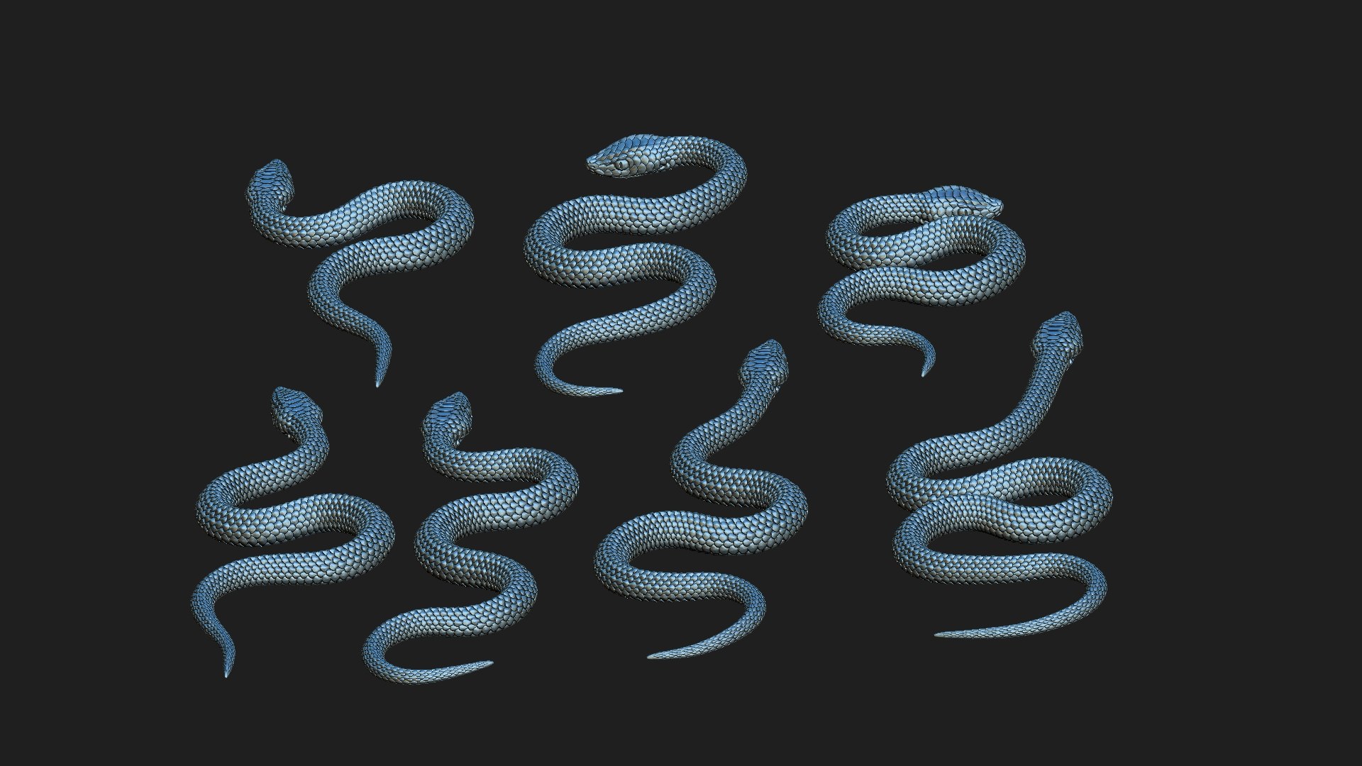 3D Several Snakes Model - TurboSquid 2140016