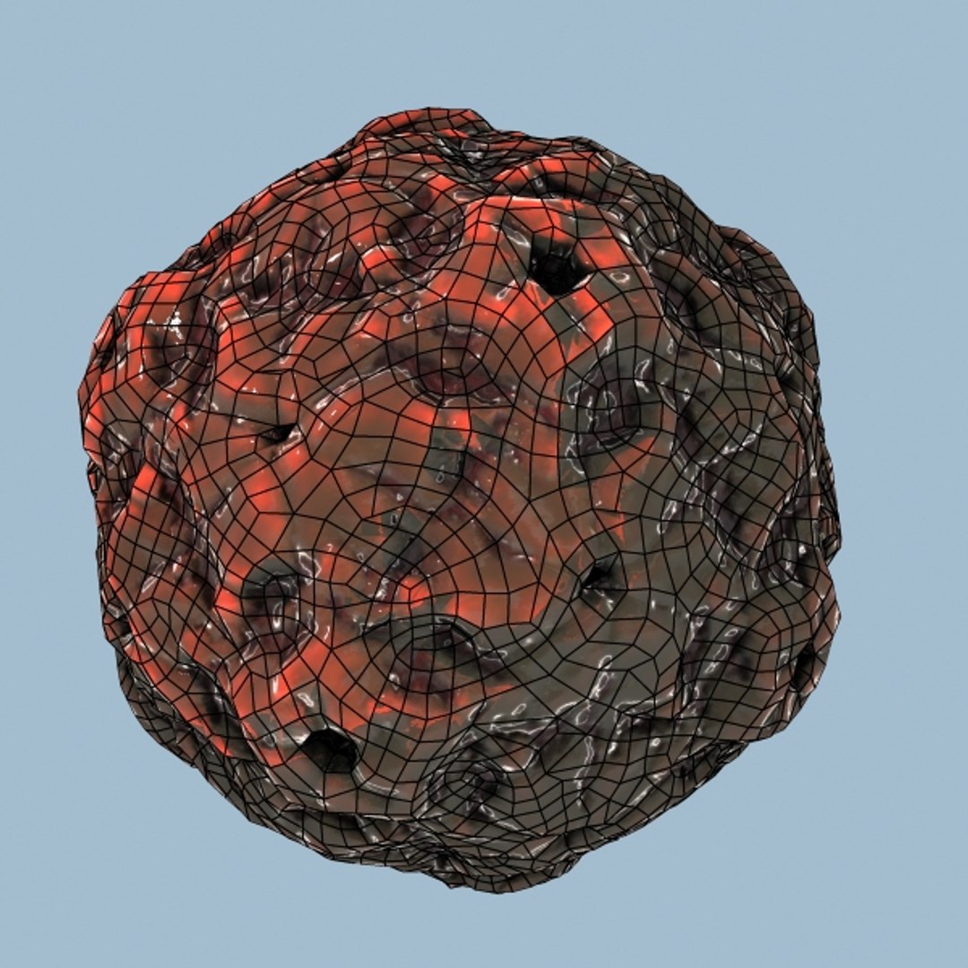3d model rhinitis virus