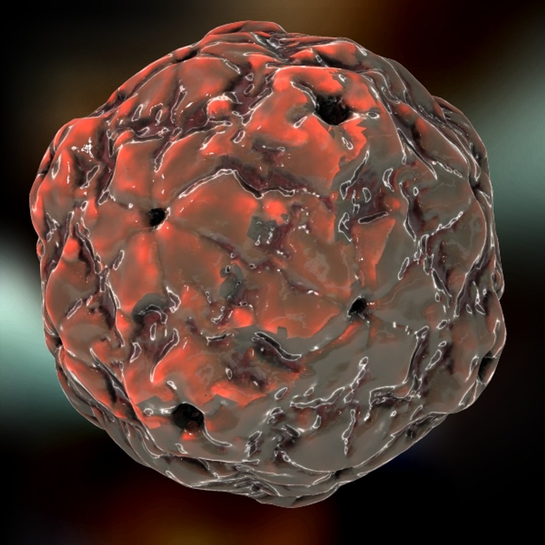 3d model rhinitis virus