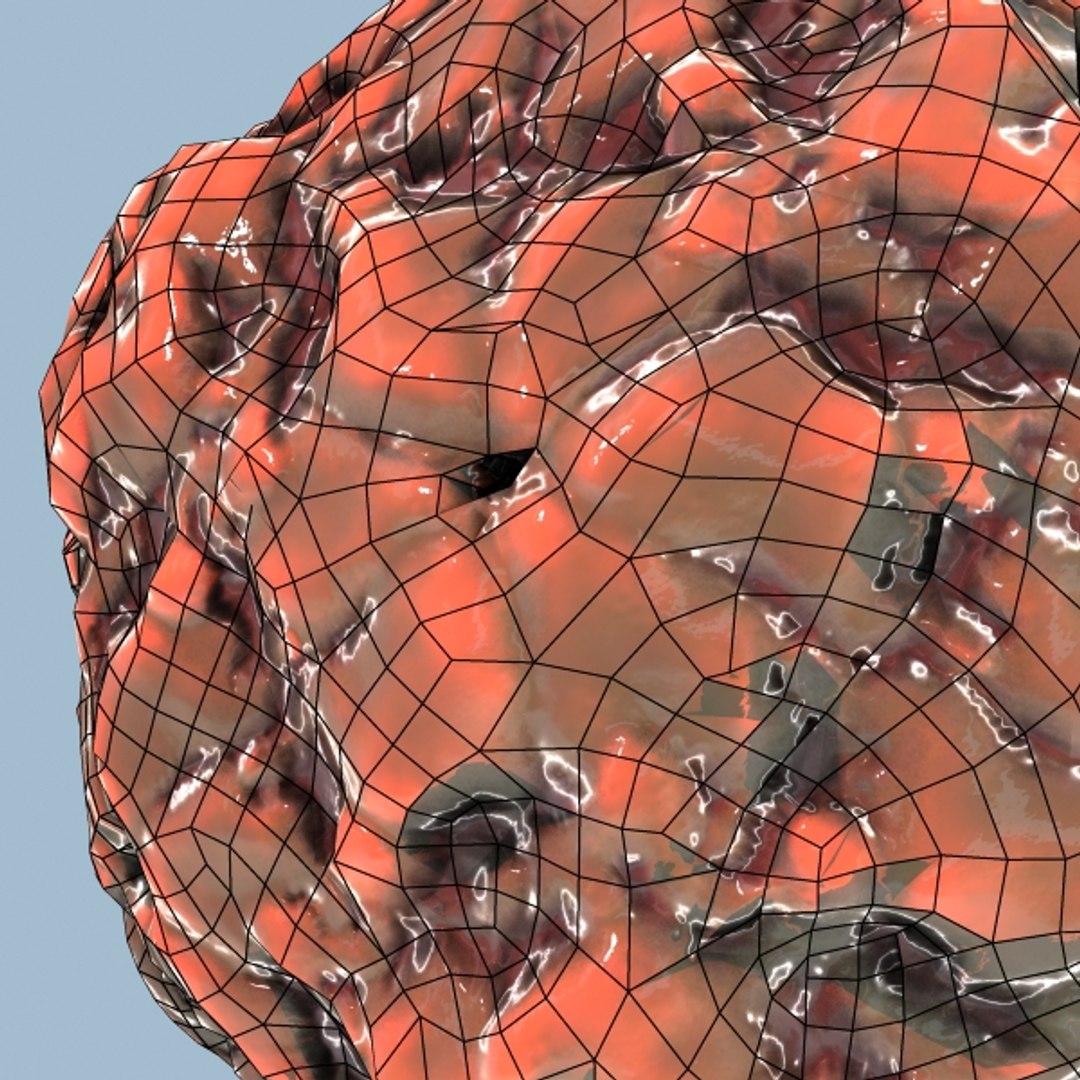 3d model rhinitis virus