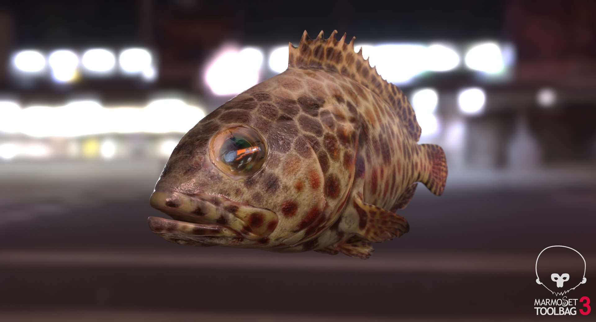 3D Grouper Pbr - TurboSquid 1326368