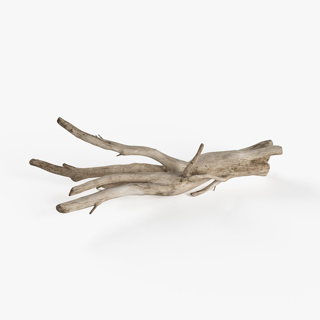 3D Model Withered Branch - TurboSquid 1569148