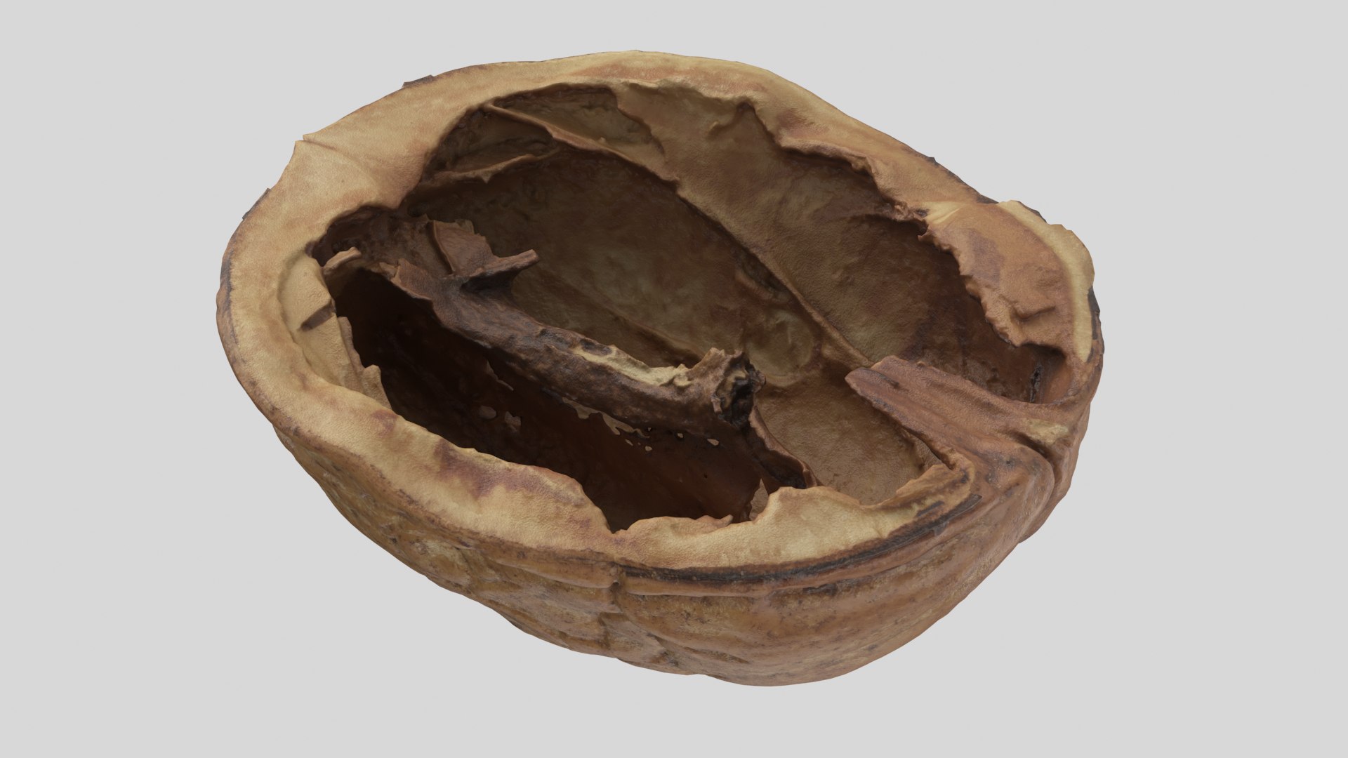 3D Model Walnut Shell Half 01 - TurboSquid 1862372