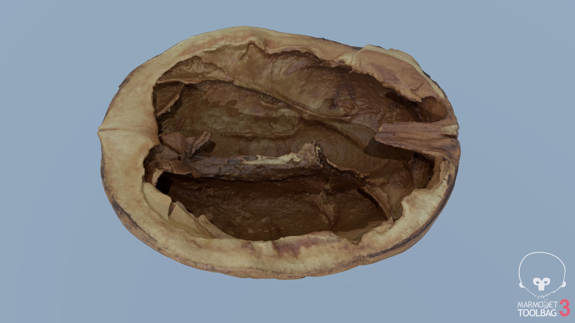 3D Model Walnut Shell Half 01 - TurboSquid 1862372