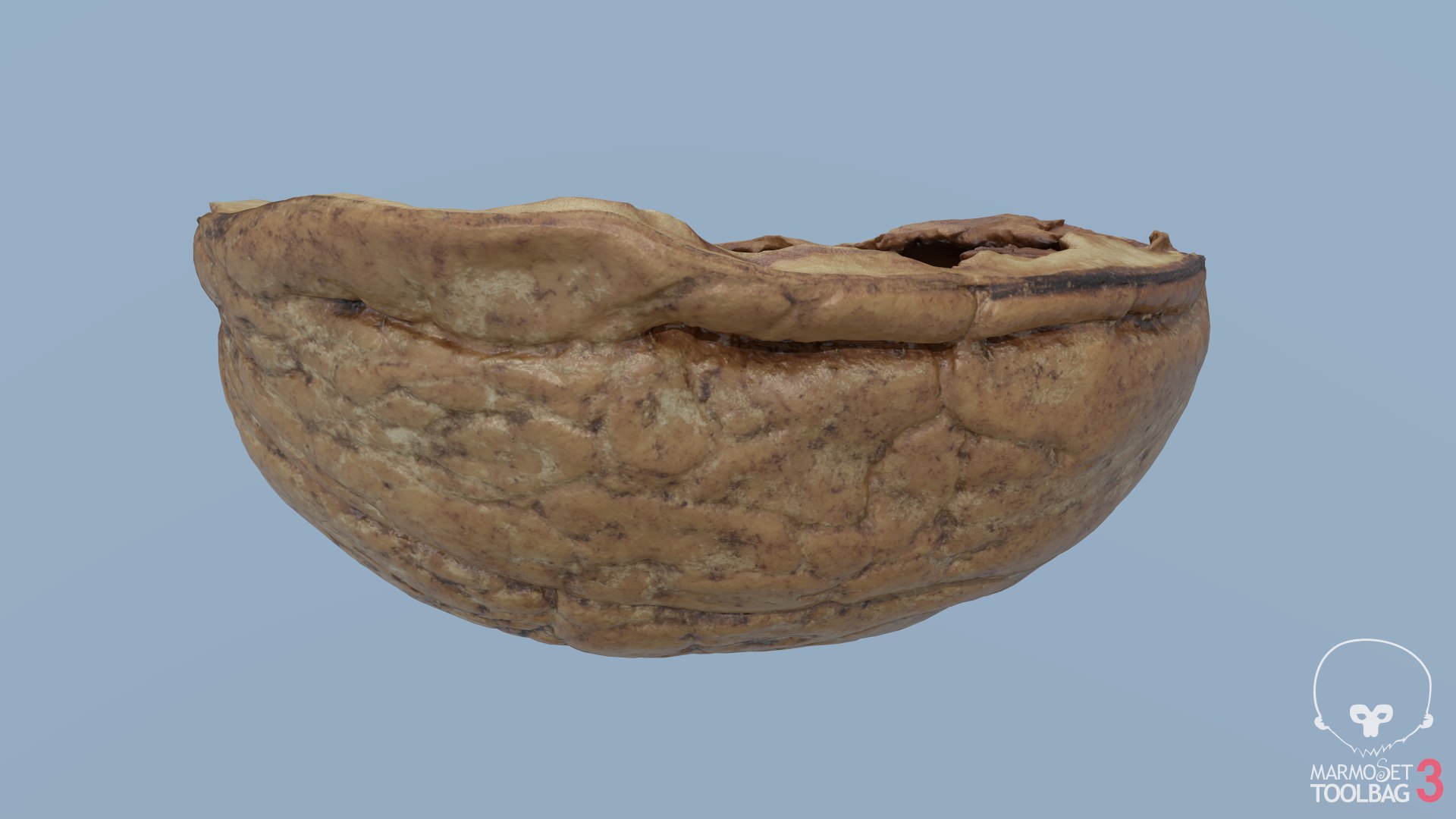 3D Model Walnut Shell Half 01 - TurboSquid 1862372