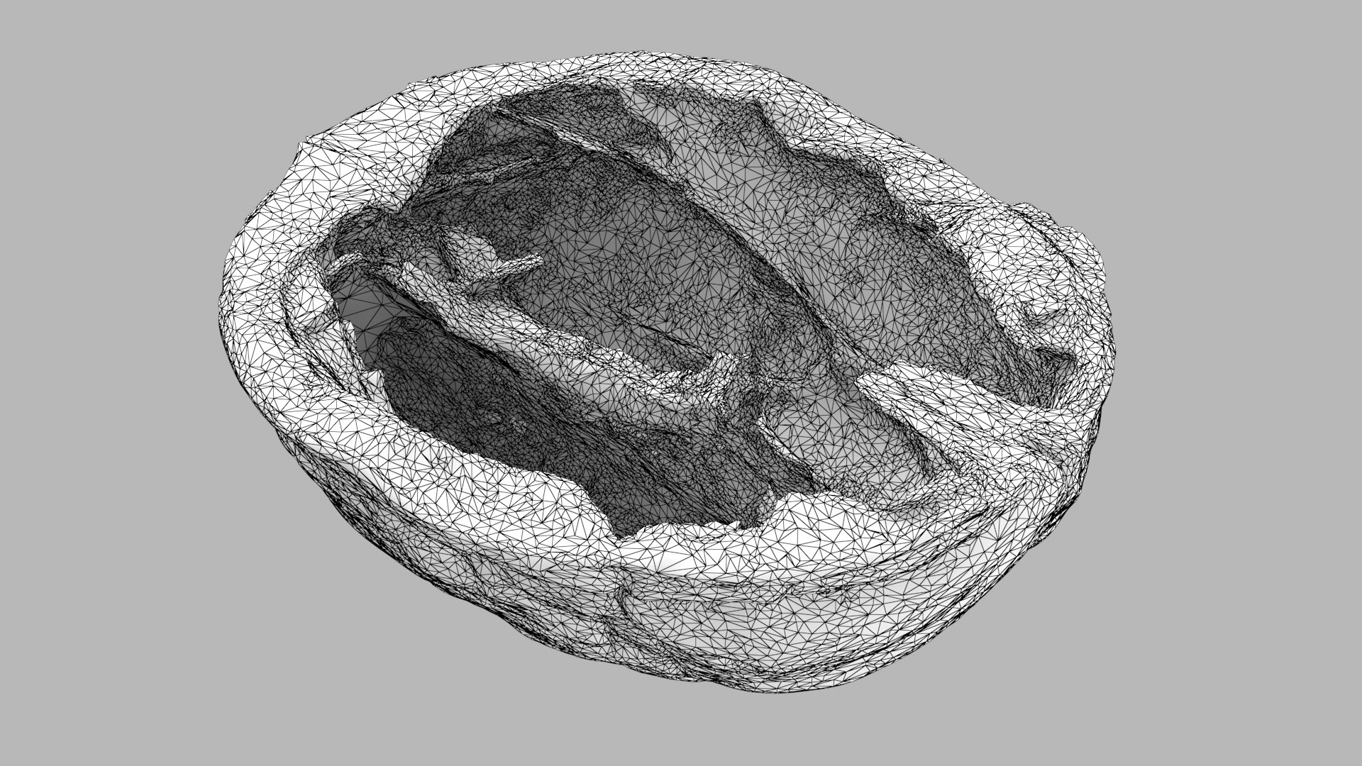 3D Model Walnut Shell Half 01 - TurboSquid 1862372