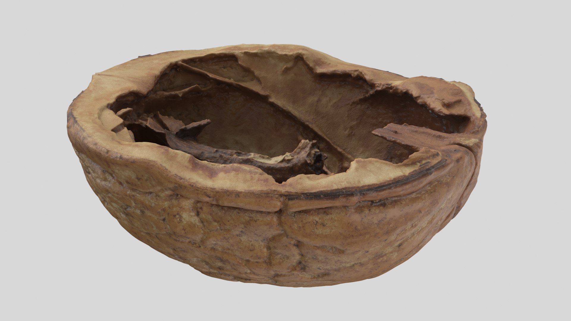 3D Model Walnut Shell Half 01 - TurboSquid 1862372