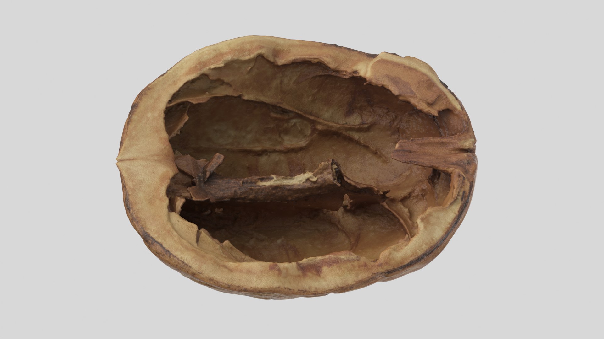3D Model Walnut Shell Half 01 - TurboSquid 1862372