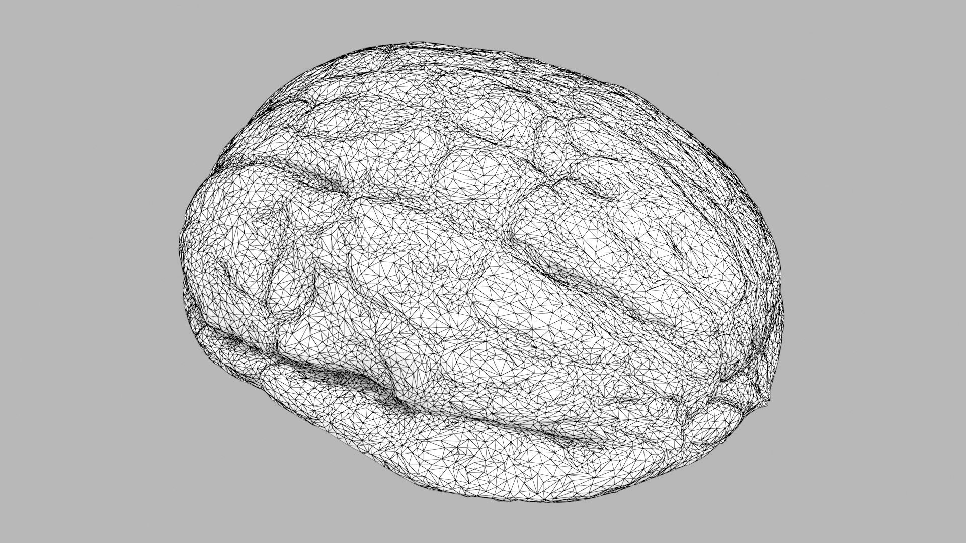 3D Model Walnut Shell Half 01 - TurboSquid 1862372