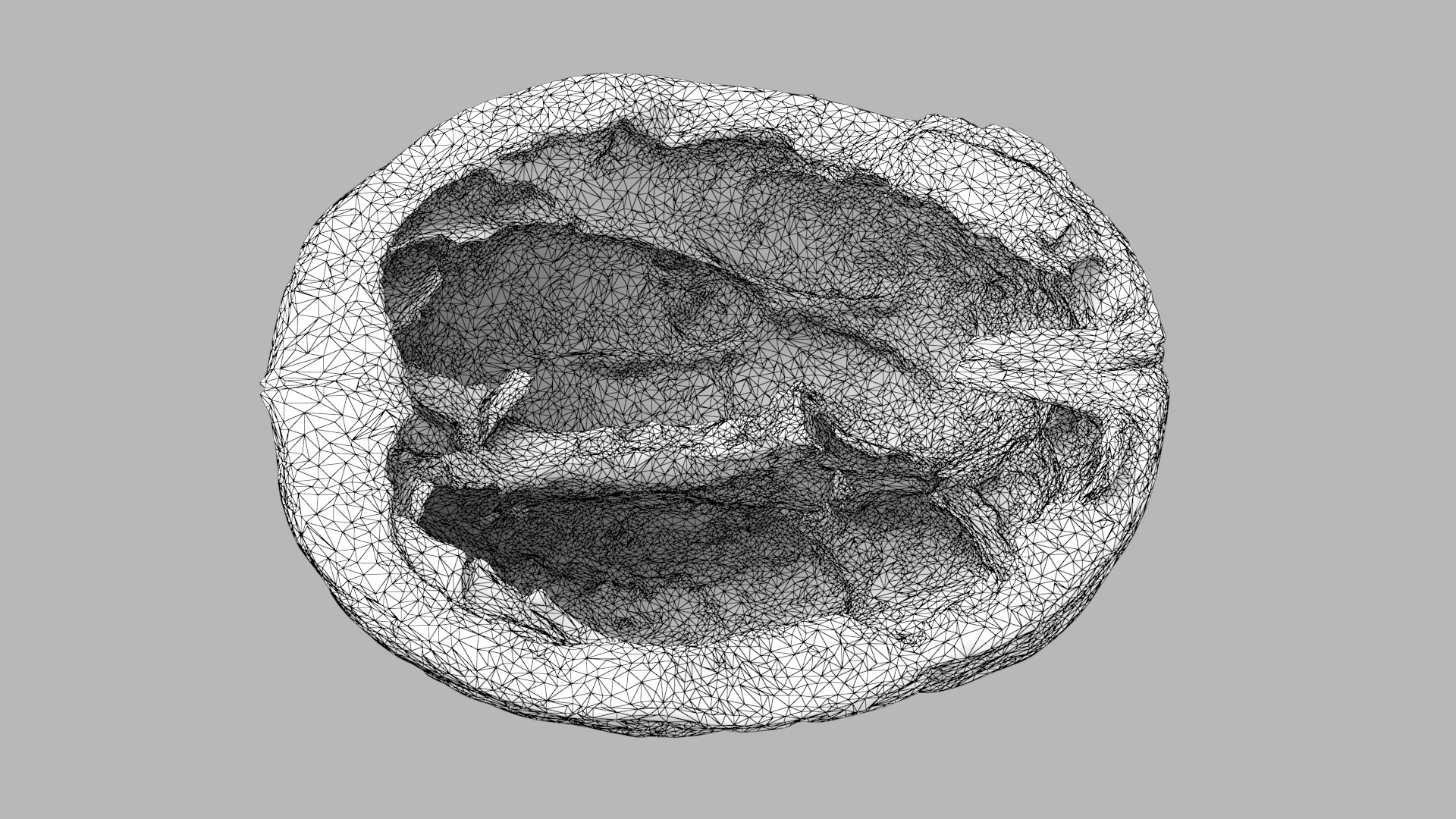 3D Model Walnut Shell Half 01 - TurboSquid 1862372