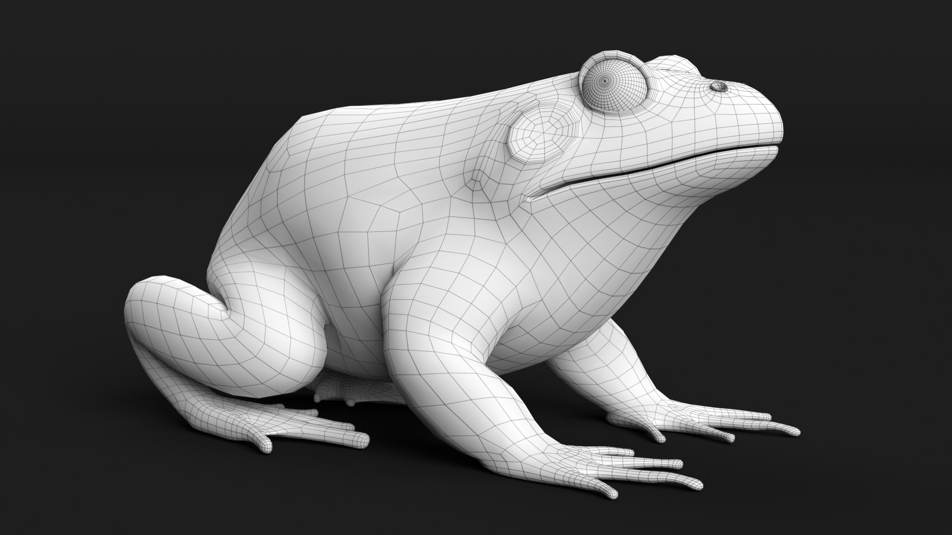 Bullfrog 3D Model - TurboSquid 2123004