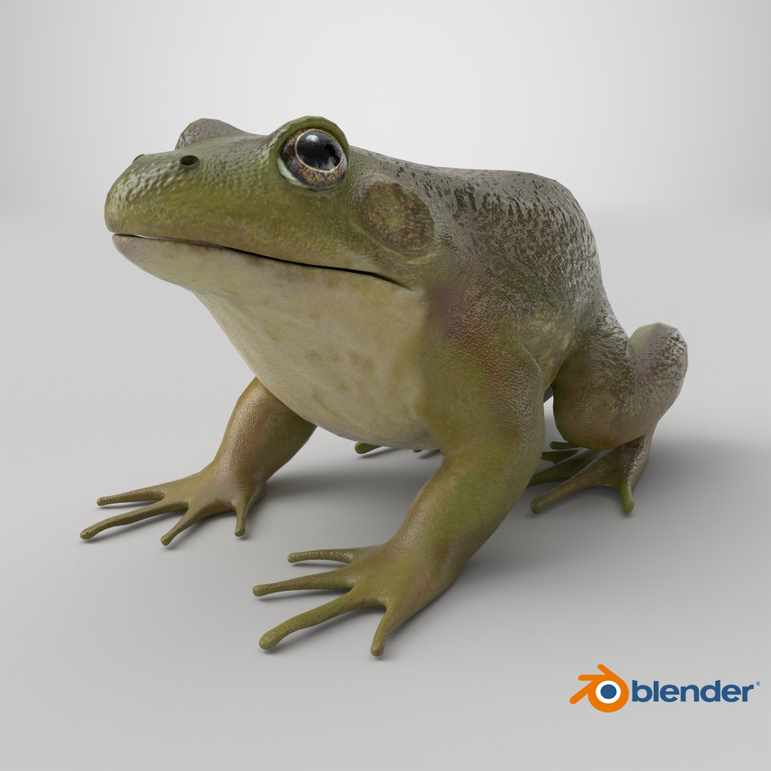 Bullfrog 3D Model - TurboSquid 2123004