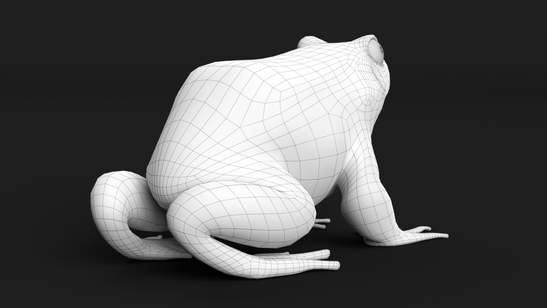 Bullfrog 3D Model - TurboSquid 2123004