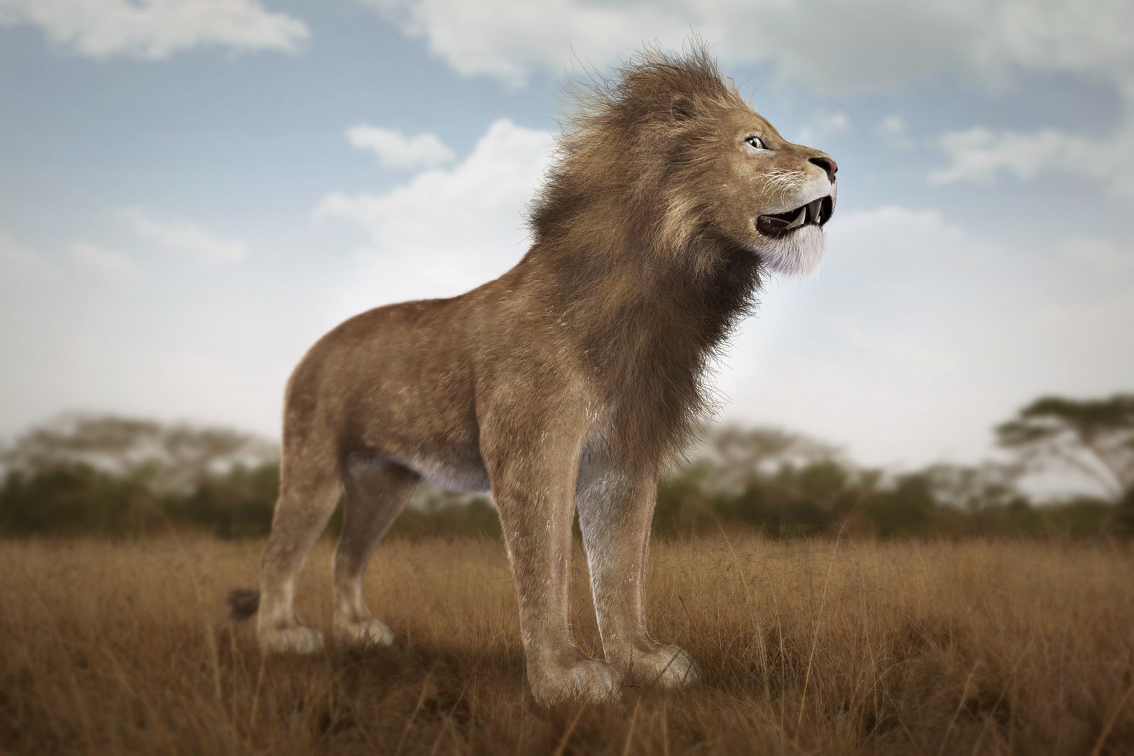 3d model lion fur cat