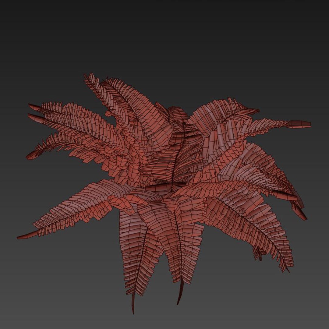 Fern Plant 3D Model - TurboSquid 1949924