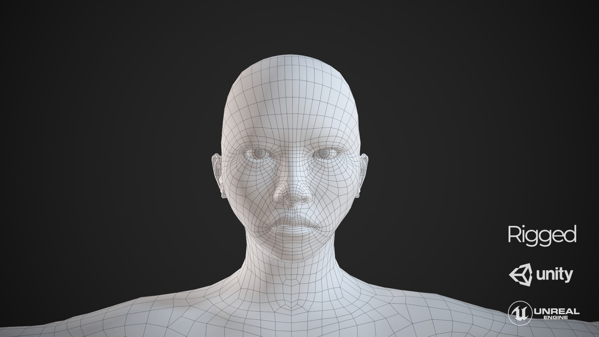 Base Mesh Basemesh 3D Model - TurboSquid 1680938
