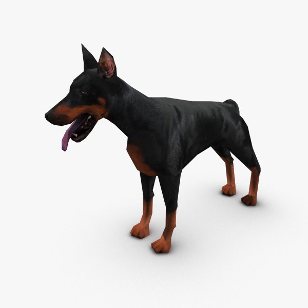 Doberman 3D Studio Models for Download | TurboSquid