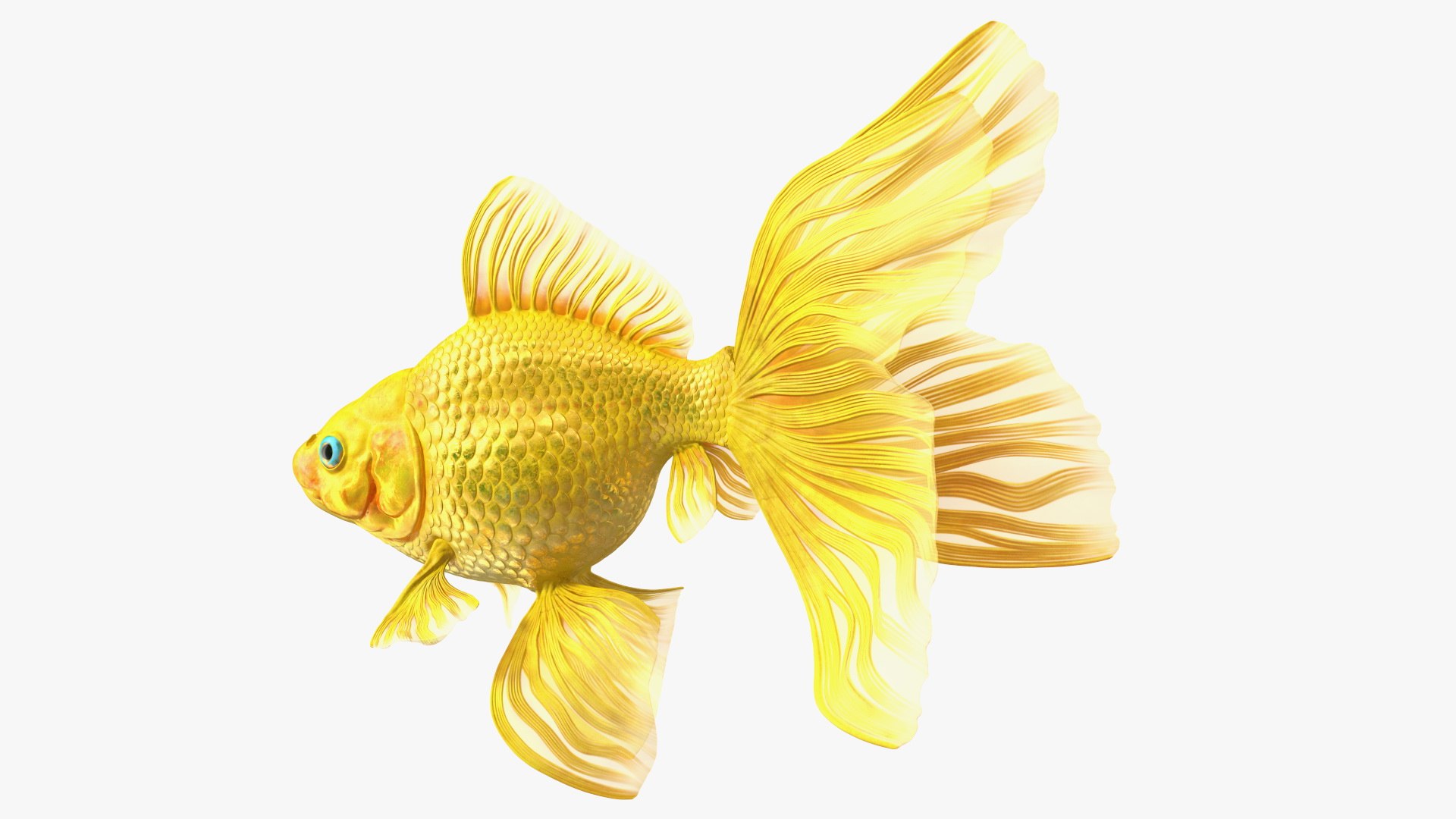 3D Goldfish Swimming Pose - TurboSquid 1764793