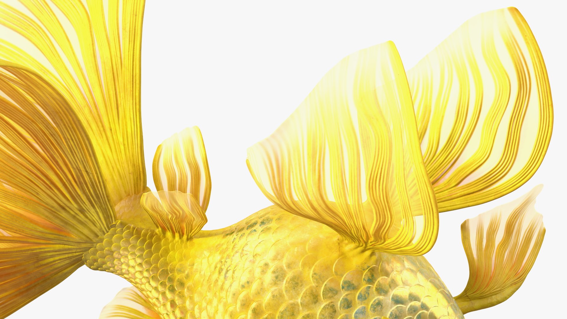 3D Goldfish Swimming Pose - TurboSquid 1764793