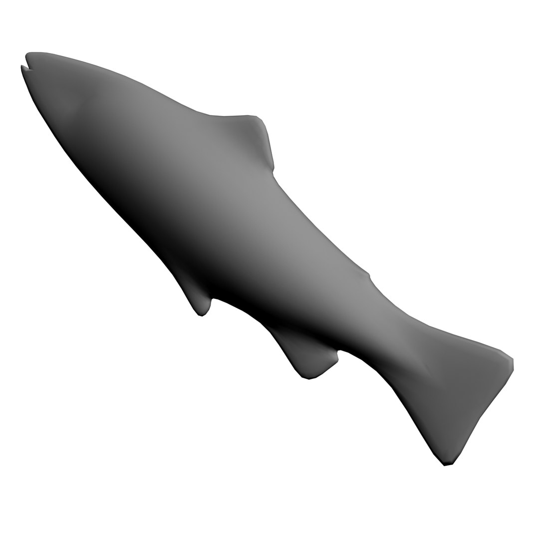 3D Model Atlantic Salmon - TurboSquid 1216850