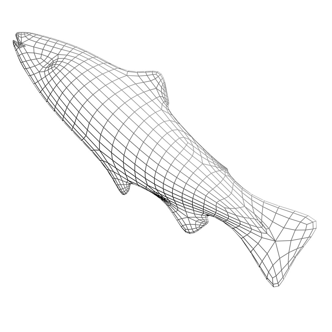3D Model Atlantic Salmon - TurboSquid 1216850