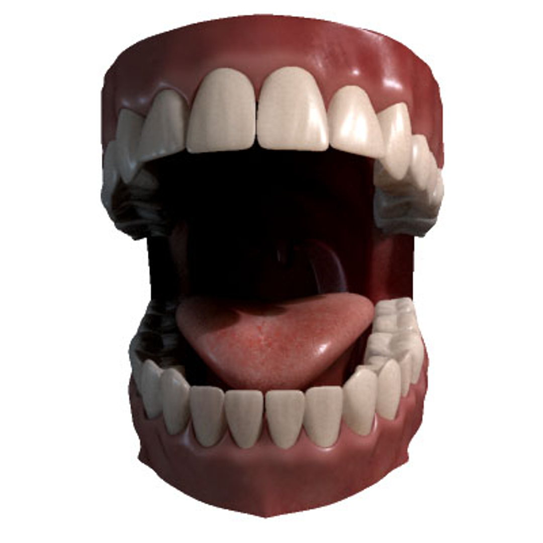 realistic mouth toung teeth human max