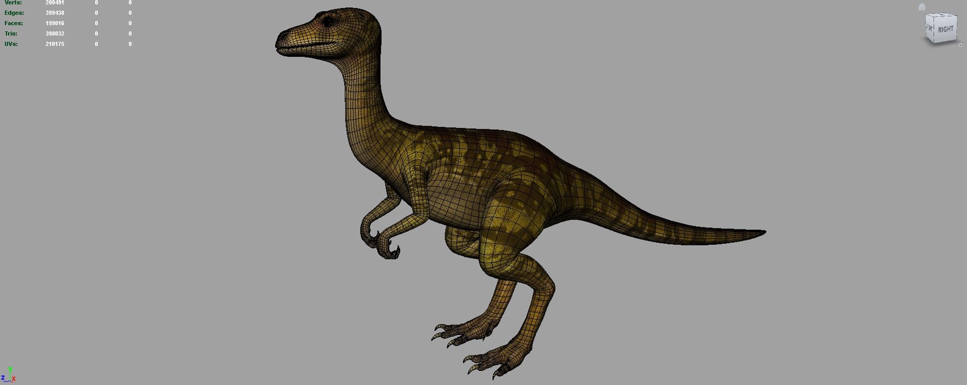 3D Model Eoraptor - TurboSquid 1227664