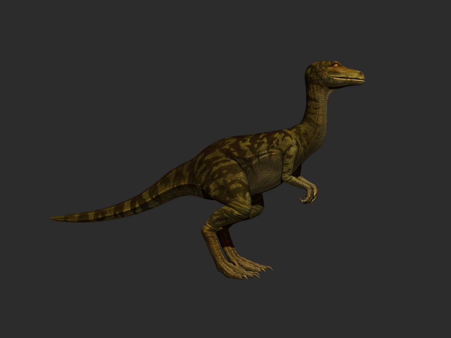 3D Model Eoraptor - TurboSquid 1227664