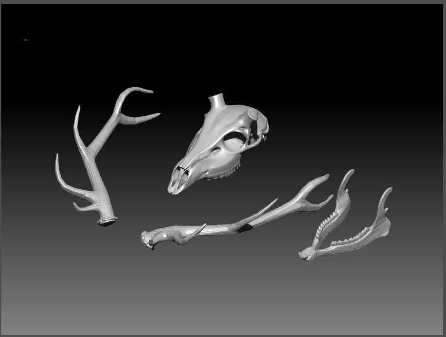 3D Model Elk Skull Print - TurboSquid 1255021