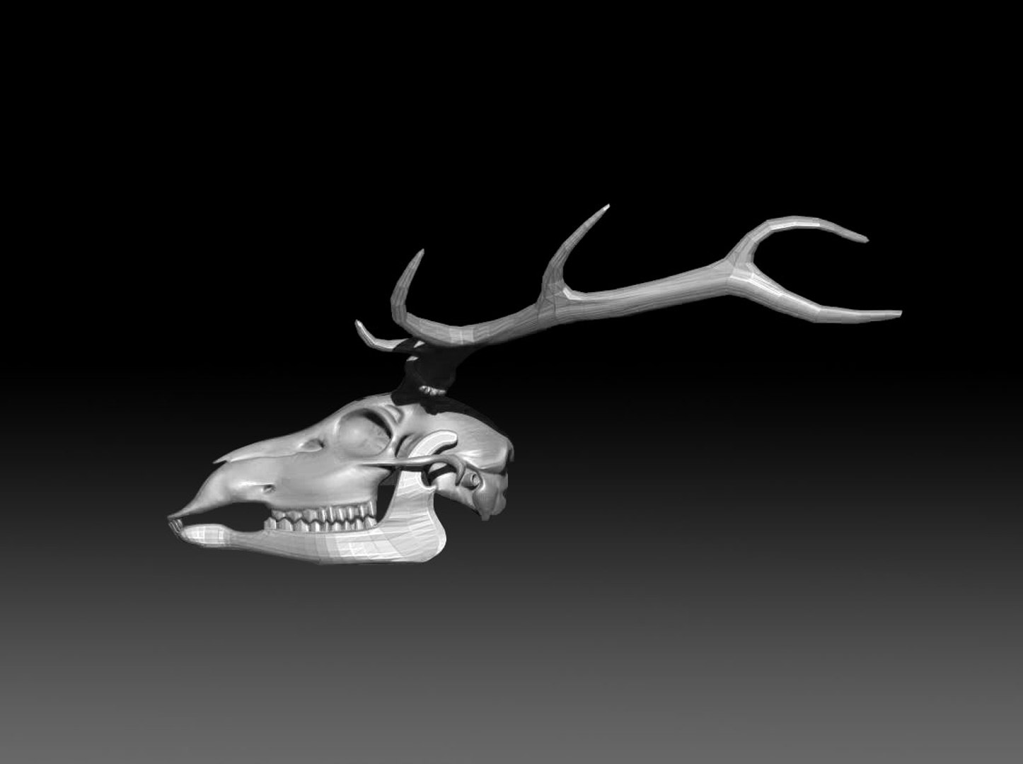 3D Model Elk Skull Print - TurboSquid 1255021
