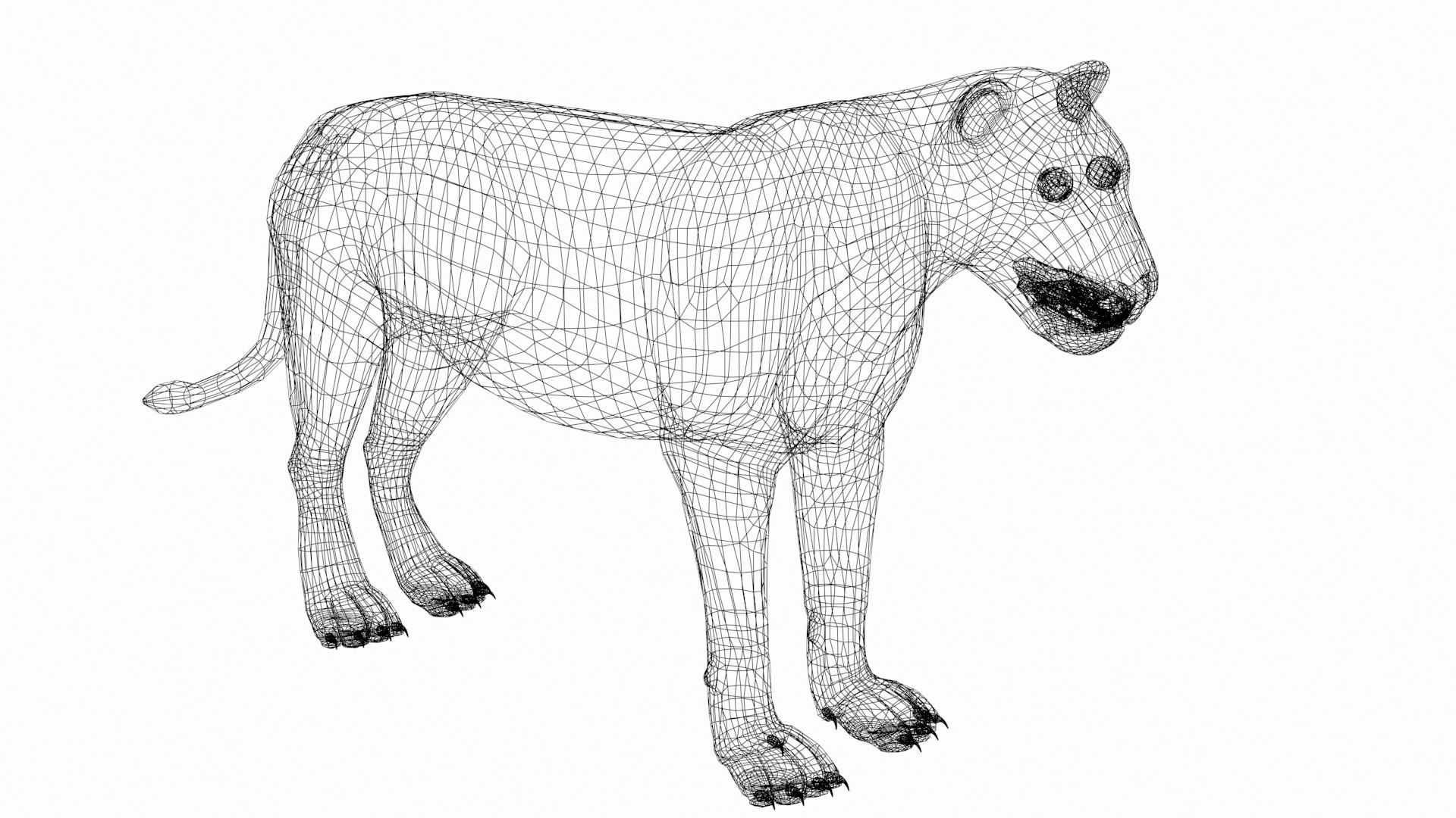 3D Lion Base Mesh Model - TurboSquid 1759600