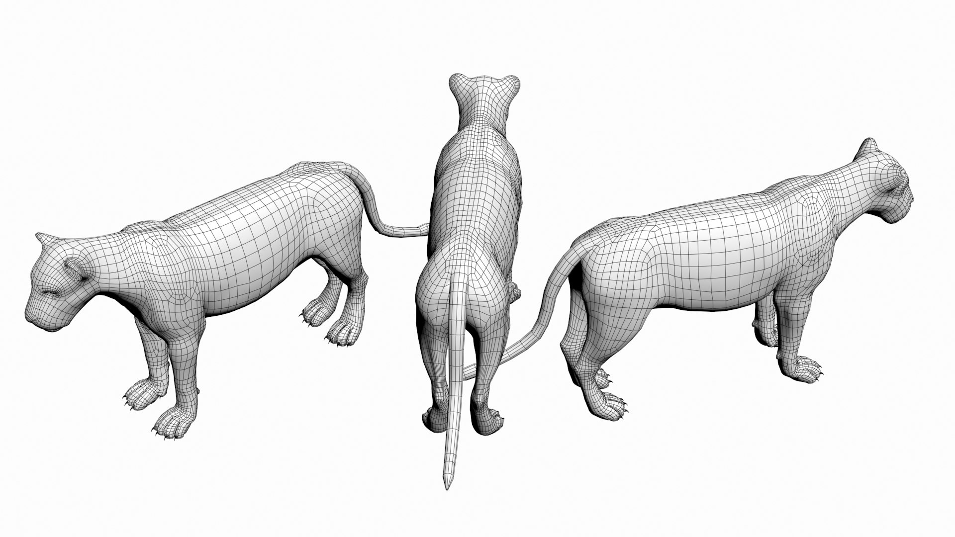 3D Lion Base Mesh Model - TurboSquid 1759600