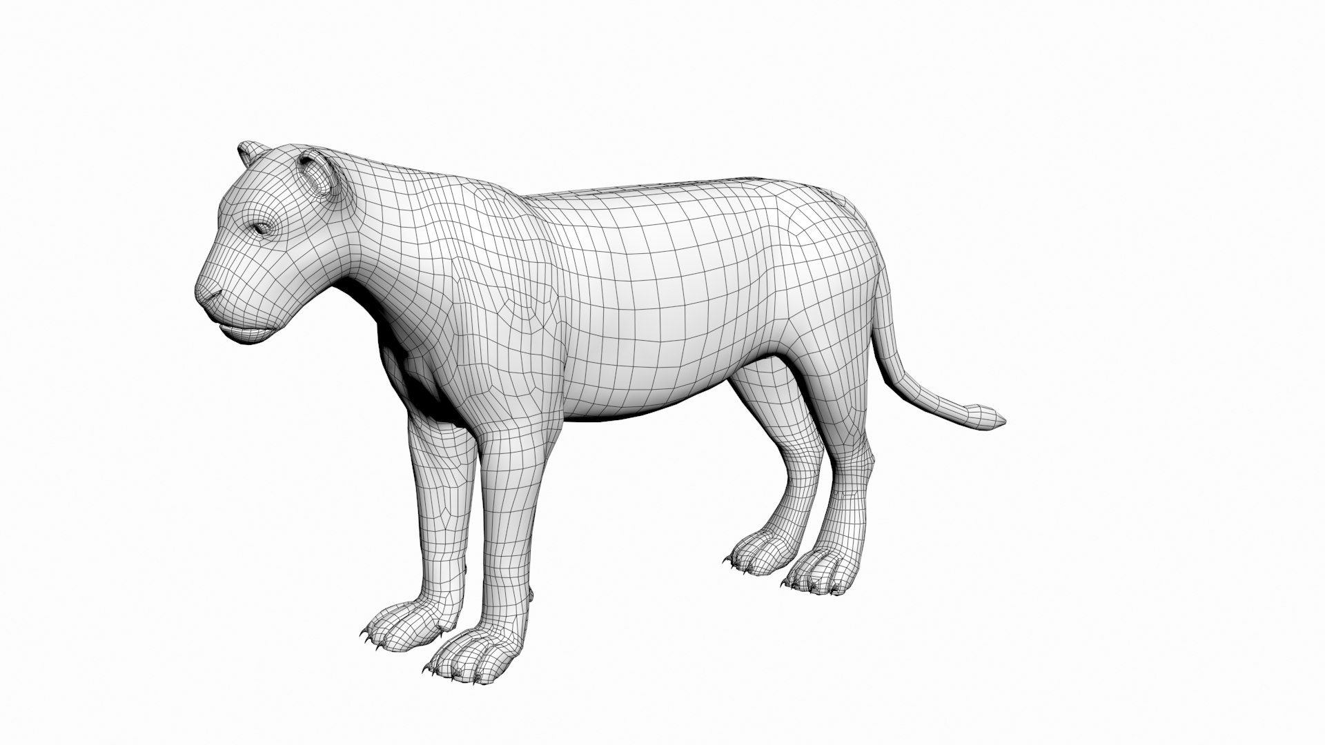 3D Lion Base Mesh Model - TurboSquid 1759600