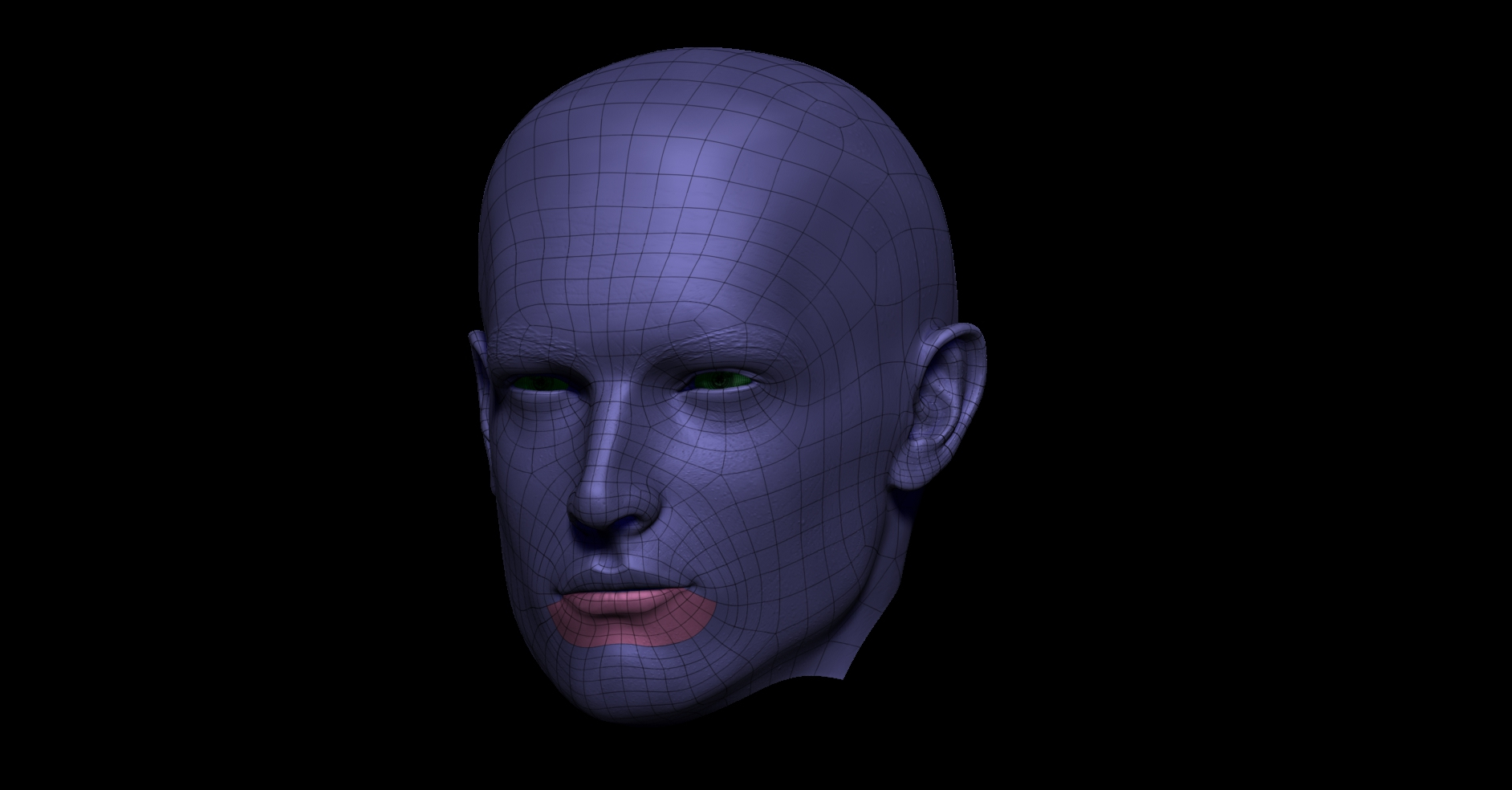 3d male anatomy model