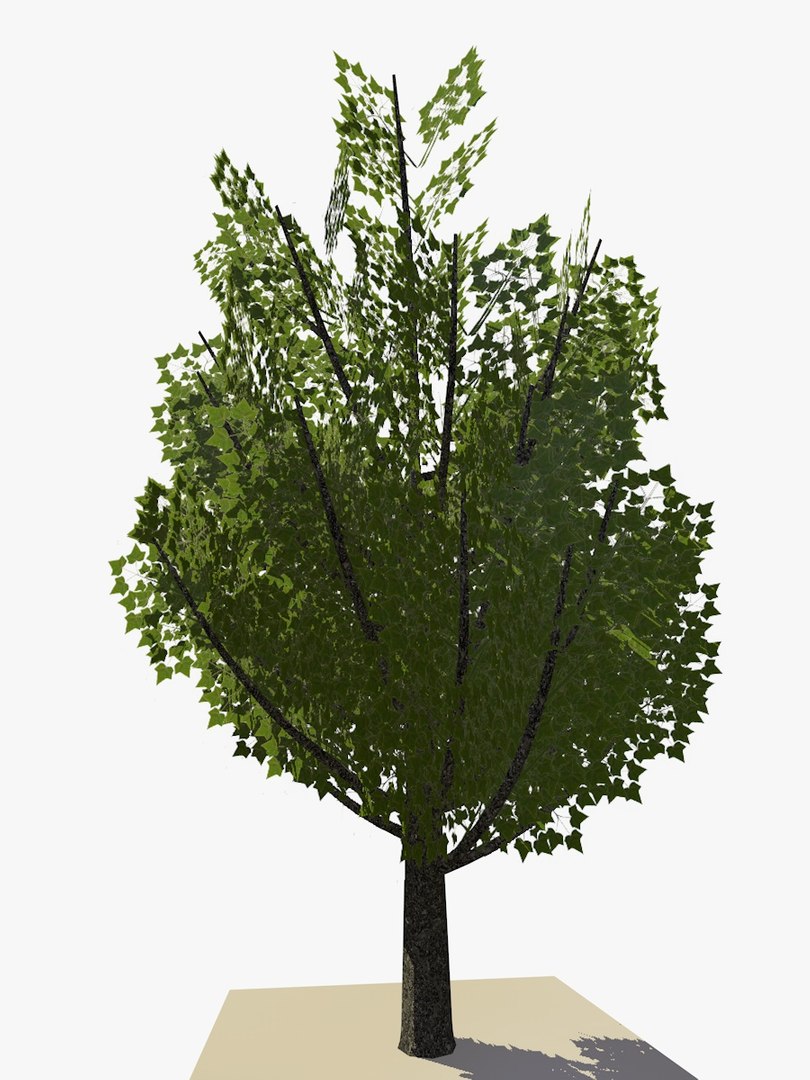 3d Model Tree Animations
