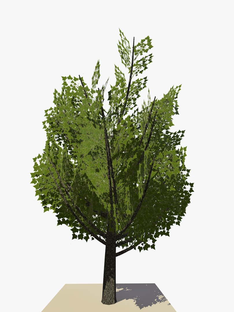 3d Model Tree Animations