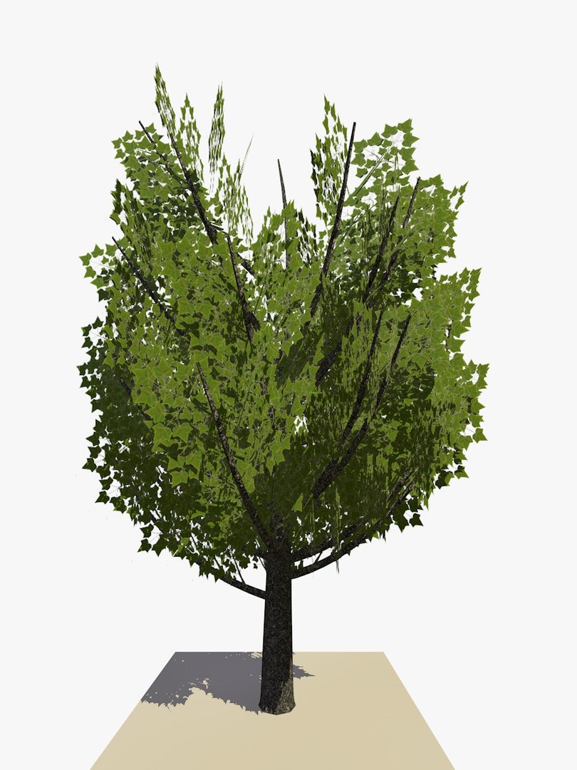 3d Model Tree Animations