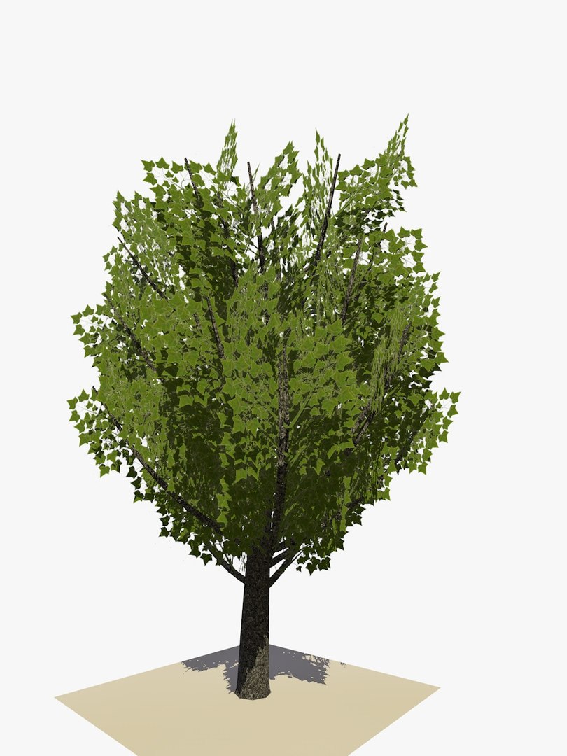 3d Model Tree Animations