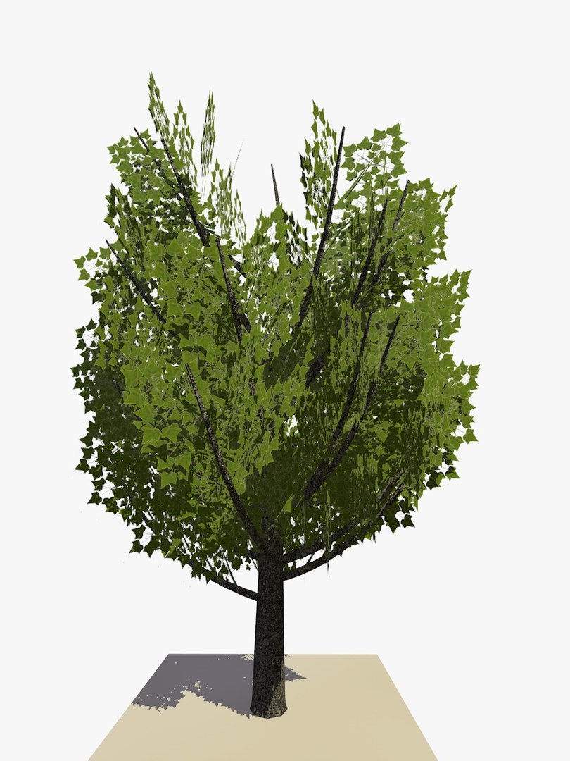 3d Model Tree Animations