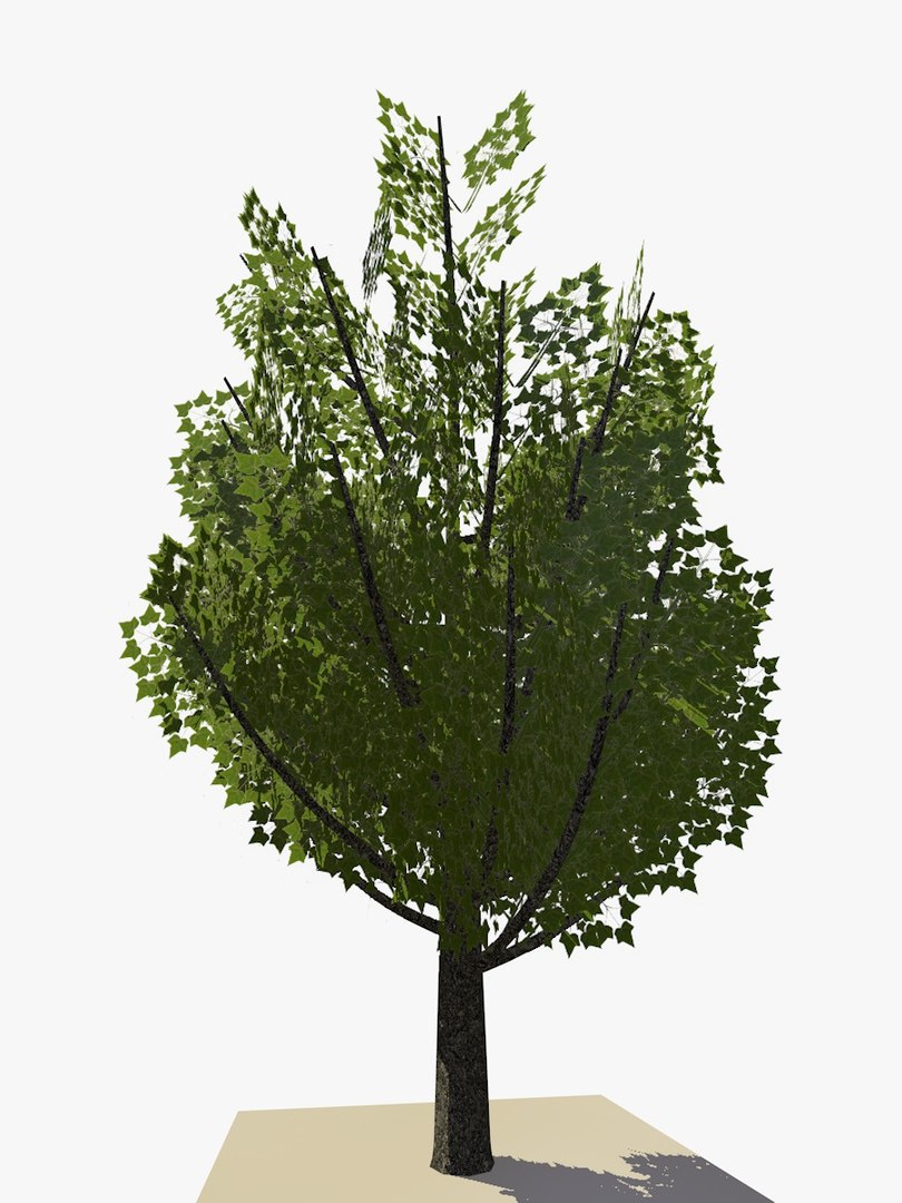 3d Model Tree Animations