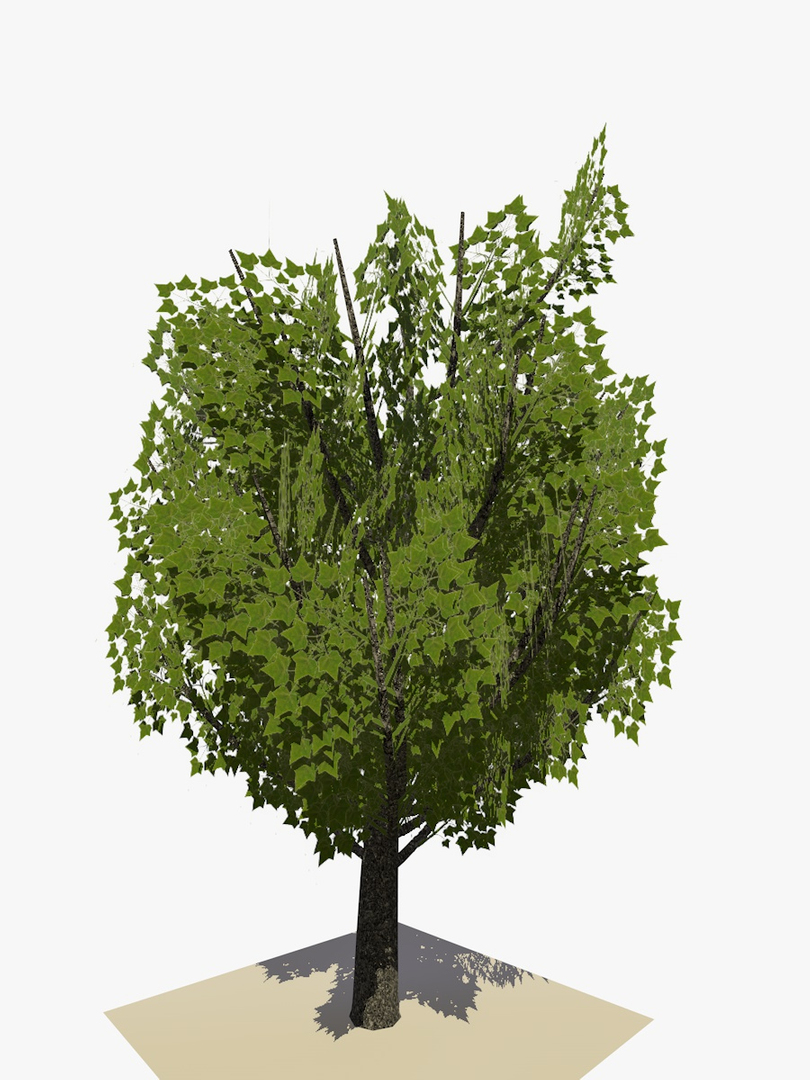 3d Model Tree Animations