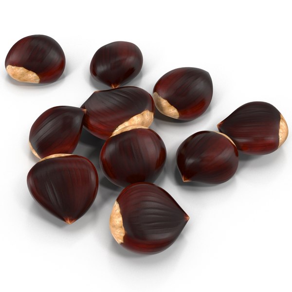 3d chestnut 2 1