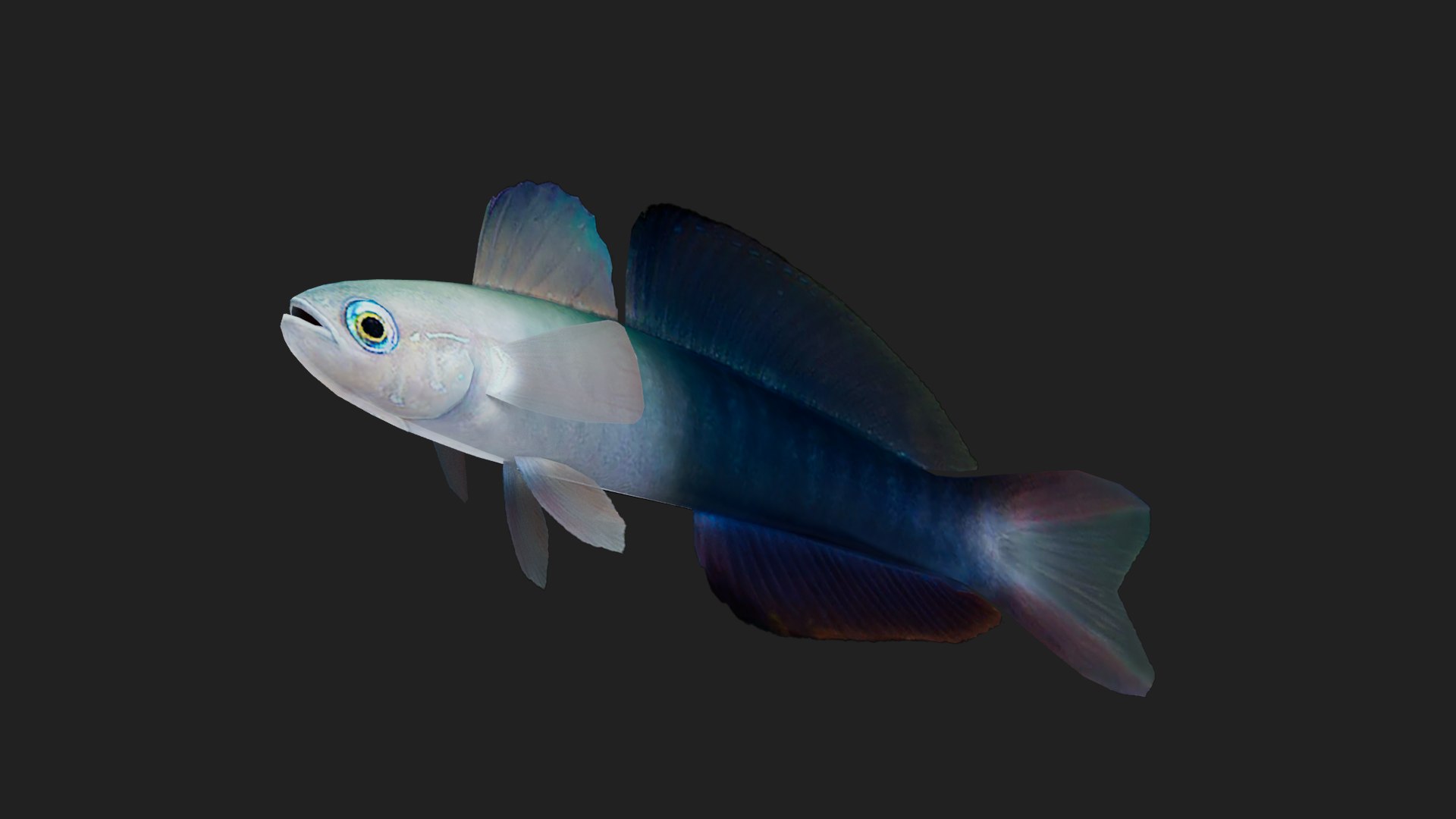 3D Bass Fish - TurboSquid 2123103