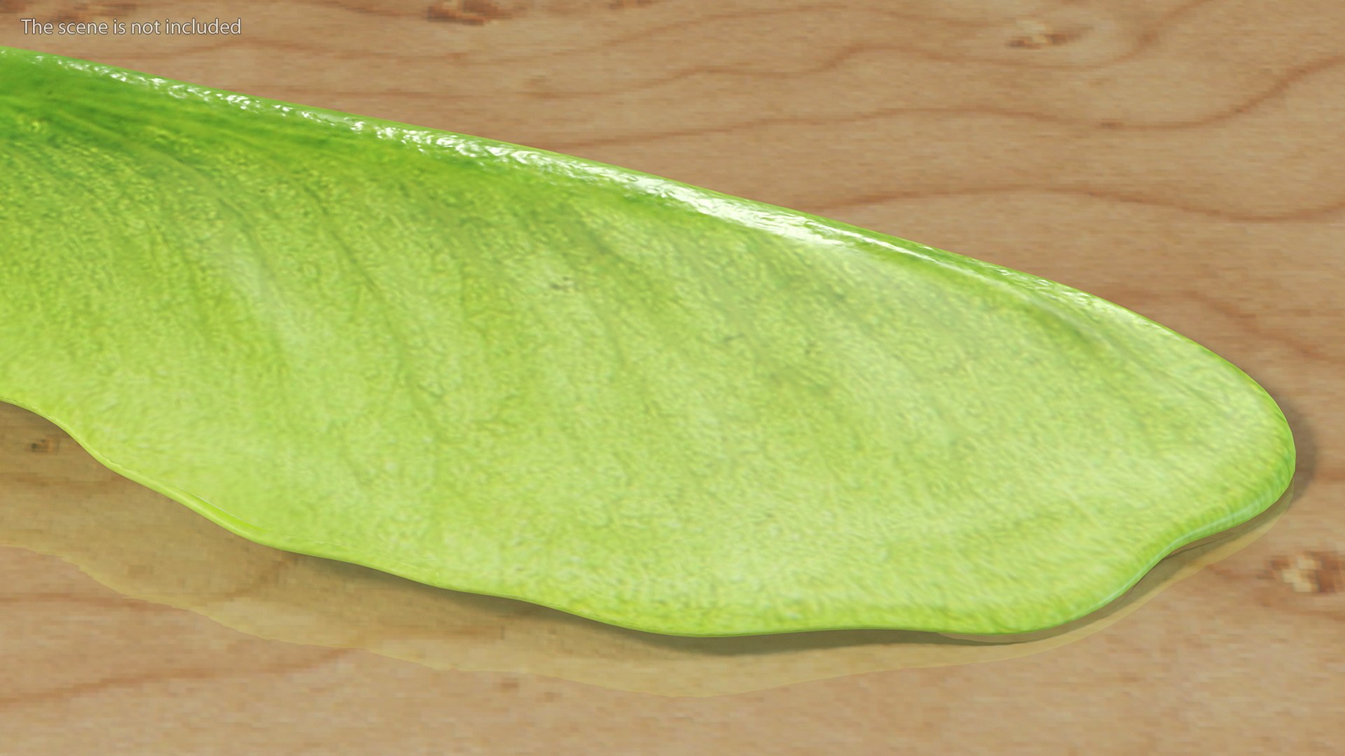 Green Maple Seeds 3D Model - TurboSquid 1838652