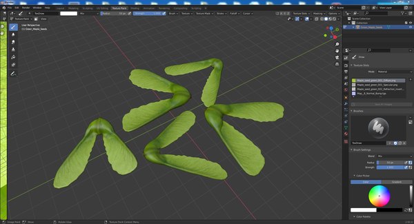 Green Maple Seeds 3D model - TurboSquid 1838652
